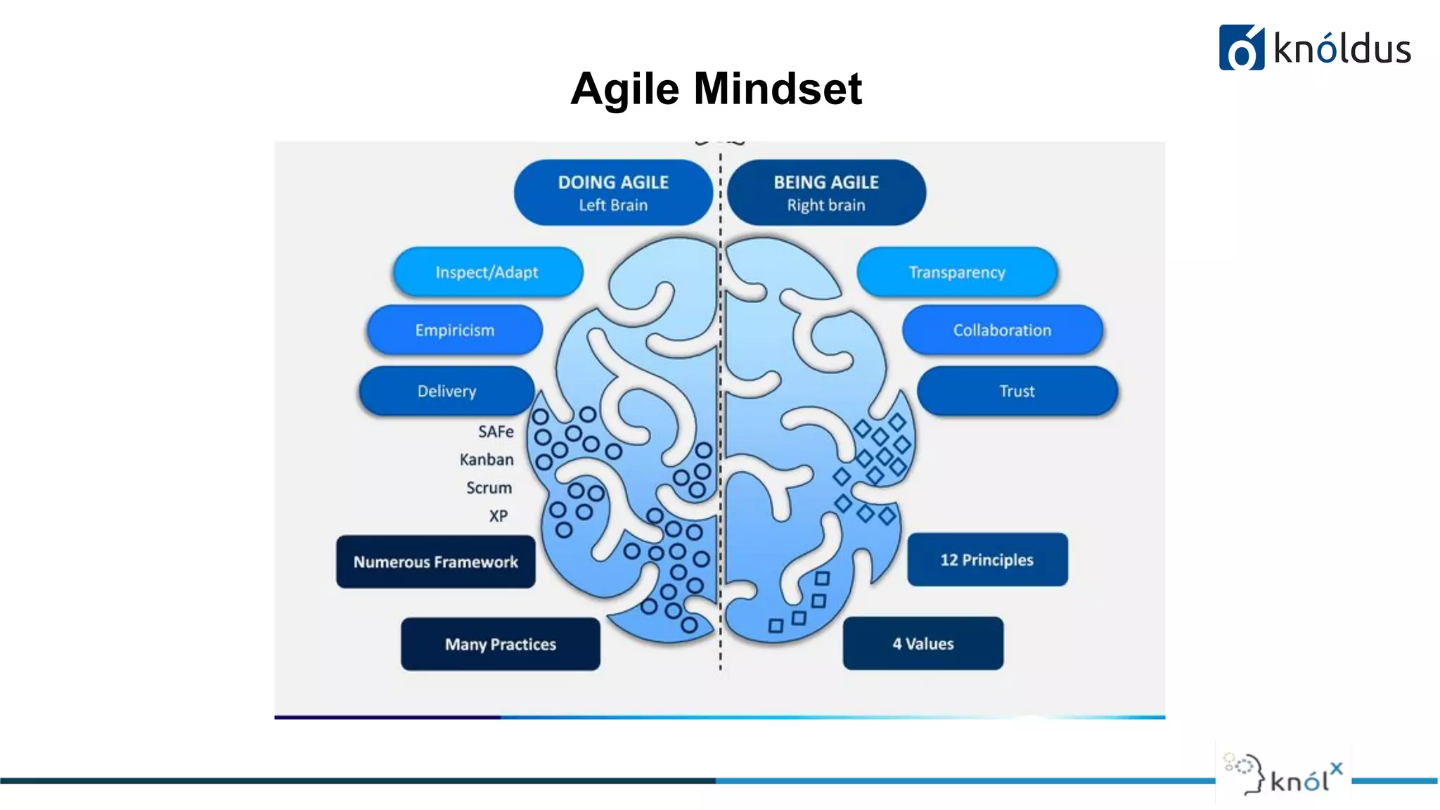 Doing Agile vs Being Agile | PDF