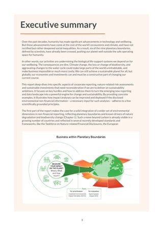 Doing business within Planetary Boundaries | PDF