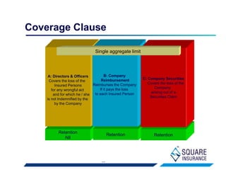 Directors and Officers Liability Insurance | PPSX