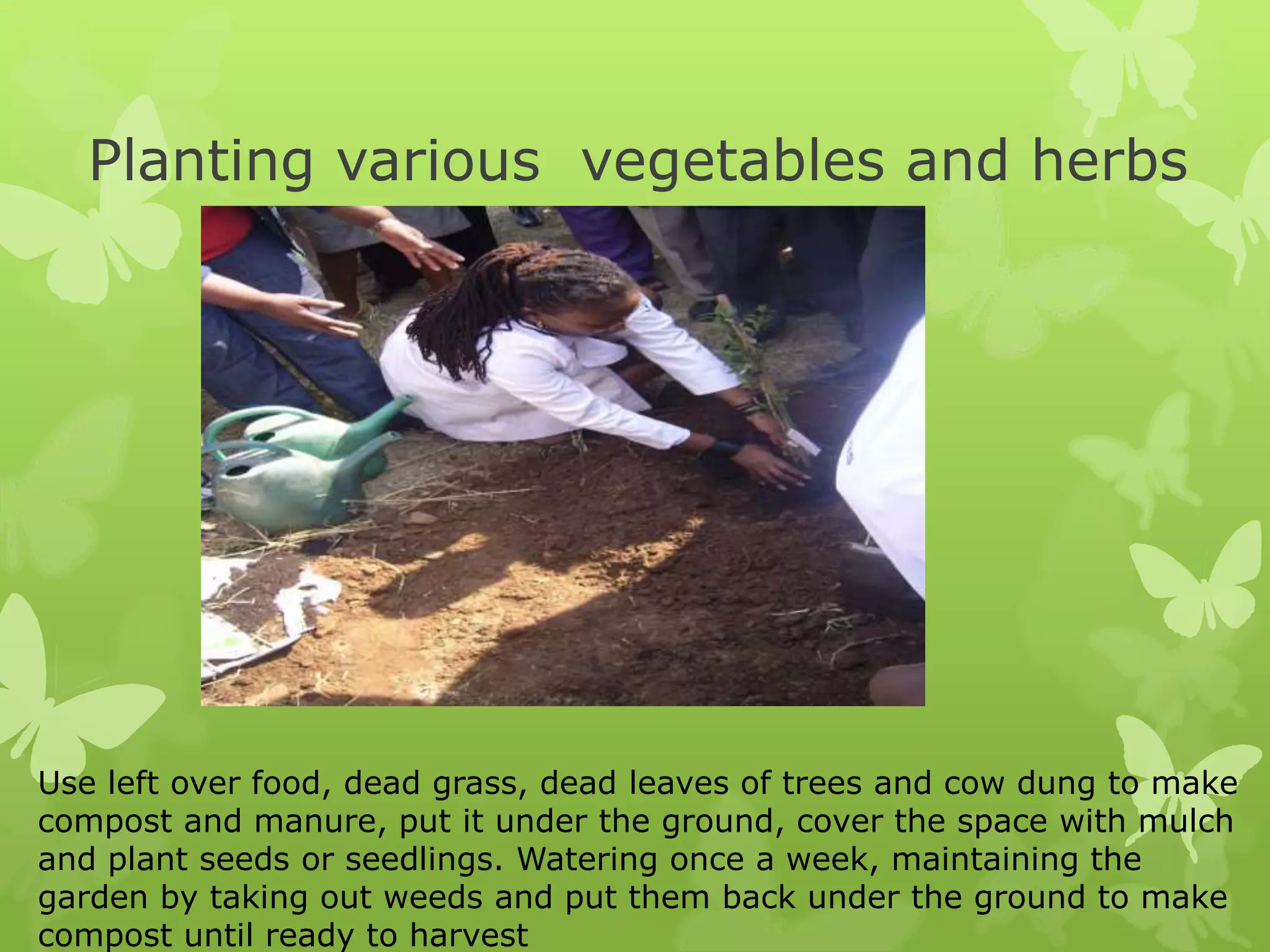 Do it yourself(diy)_method_of_food_production-1[1] | PPT