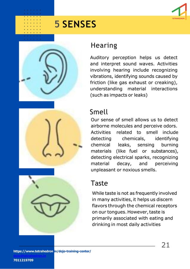 DOJO Training Center - Empowering Workforce Excellence | PDF | Martial ...