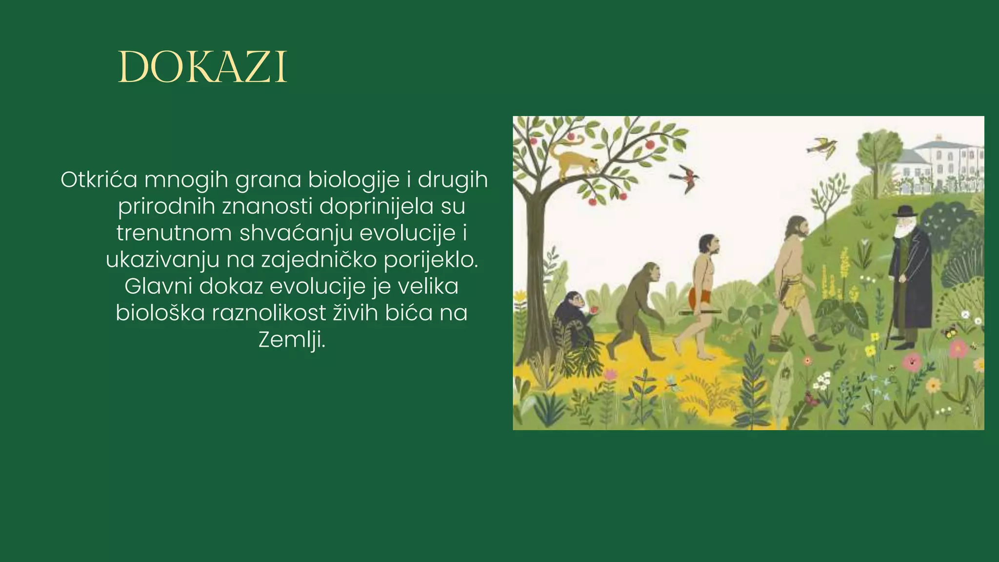 dokazi evolucije u biologiji.pptx