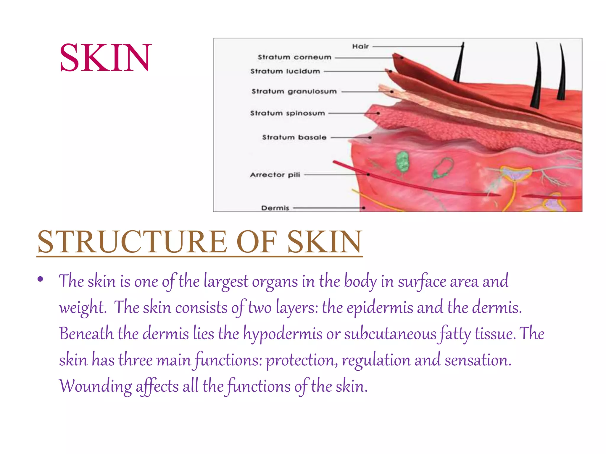 Different types of sense organ | PPT