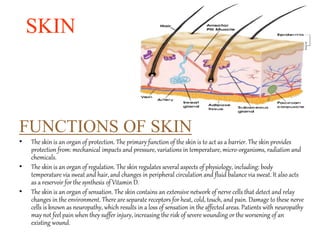 Different types of sense organ | PPT