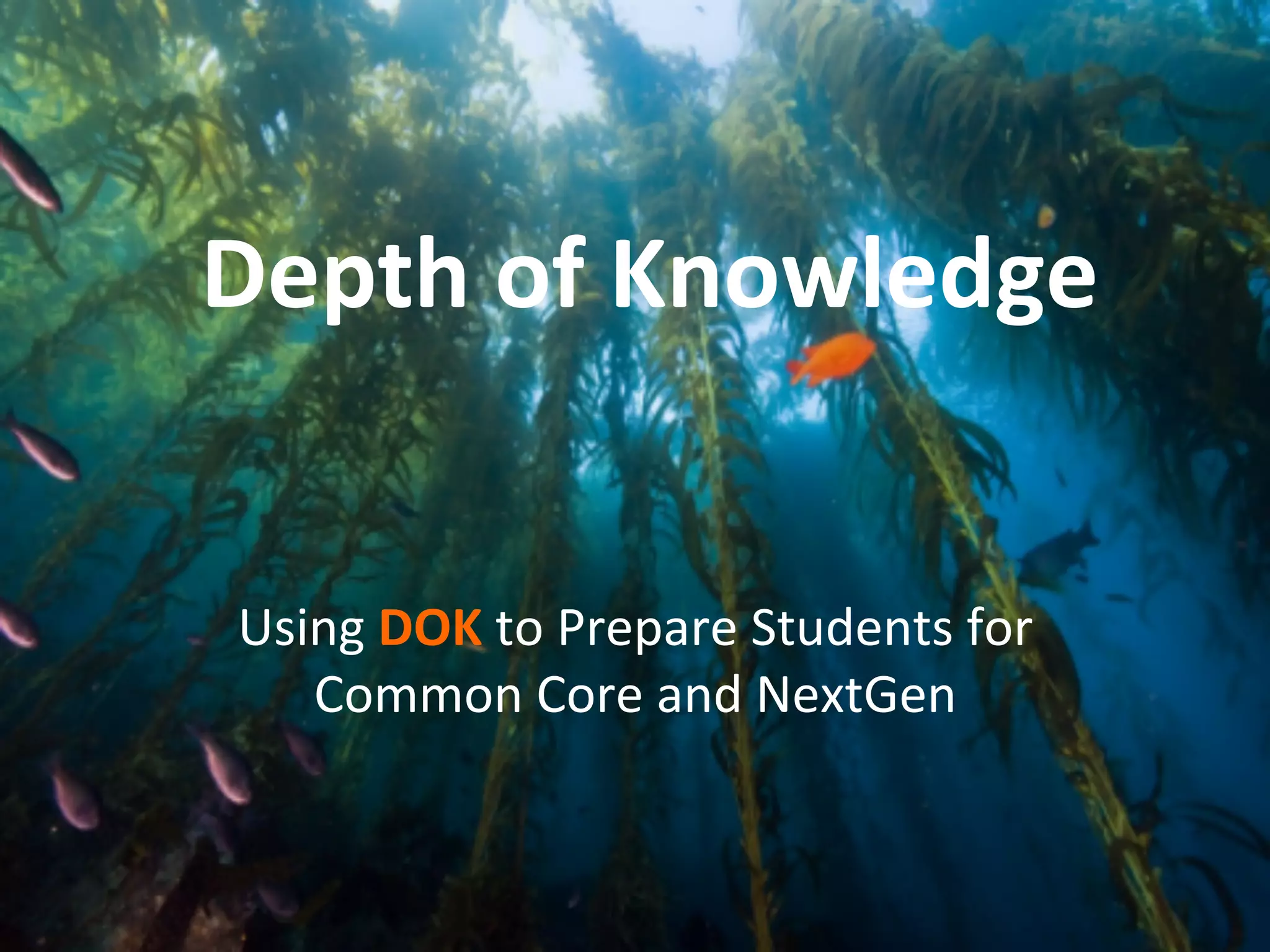 Depth of Knowledge | PDF