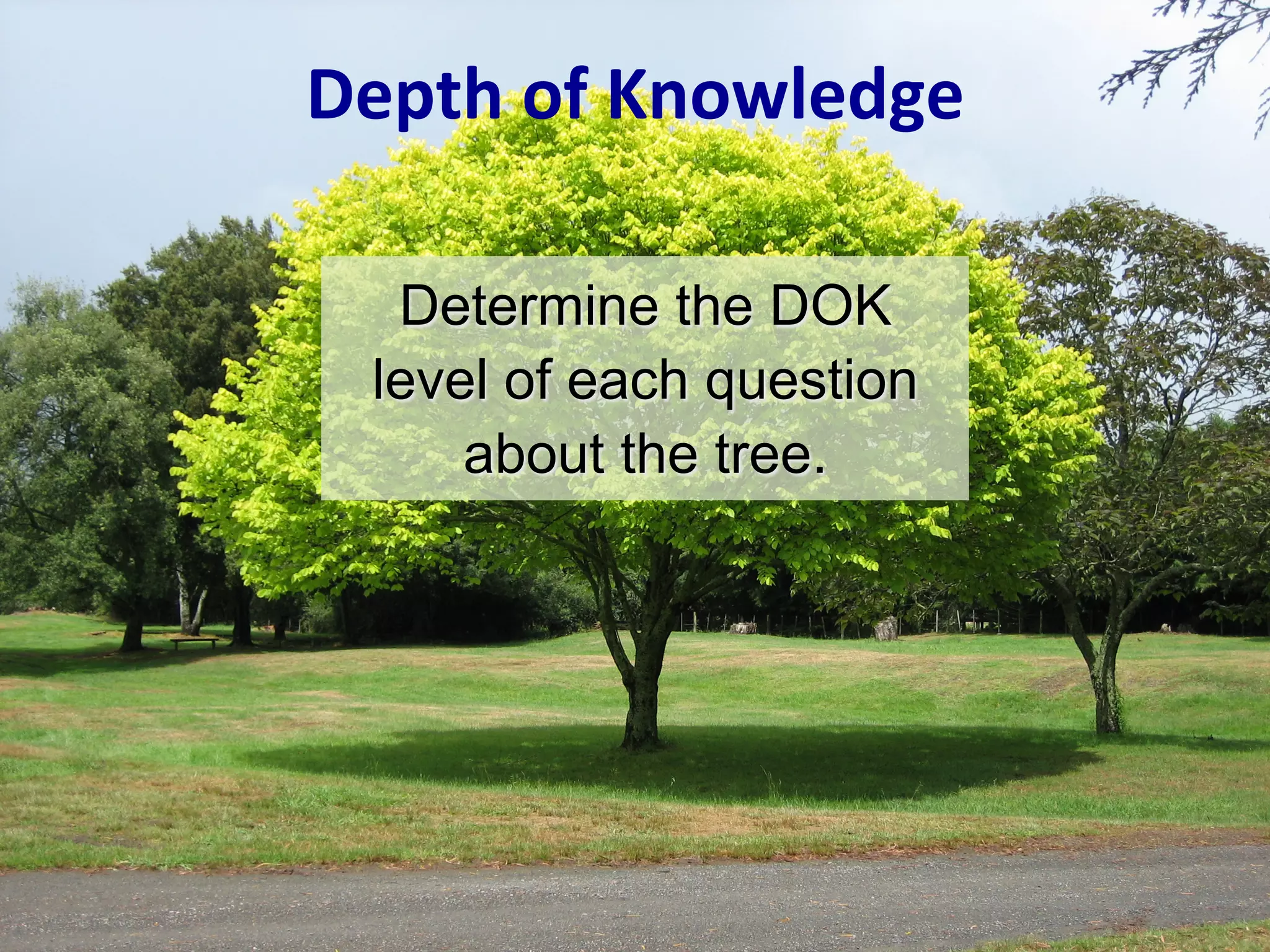 Depth of Knowledge | PDF