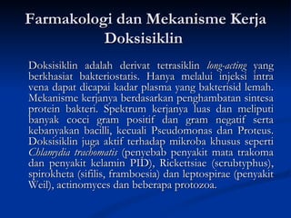 Doksisiklin kapsul presentation | PPT