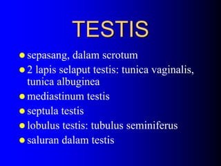 dokumen.tips_sistem-reproduksi-pria-sty.ppt