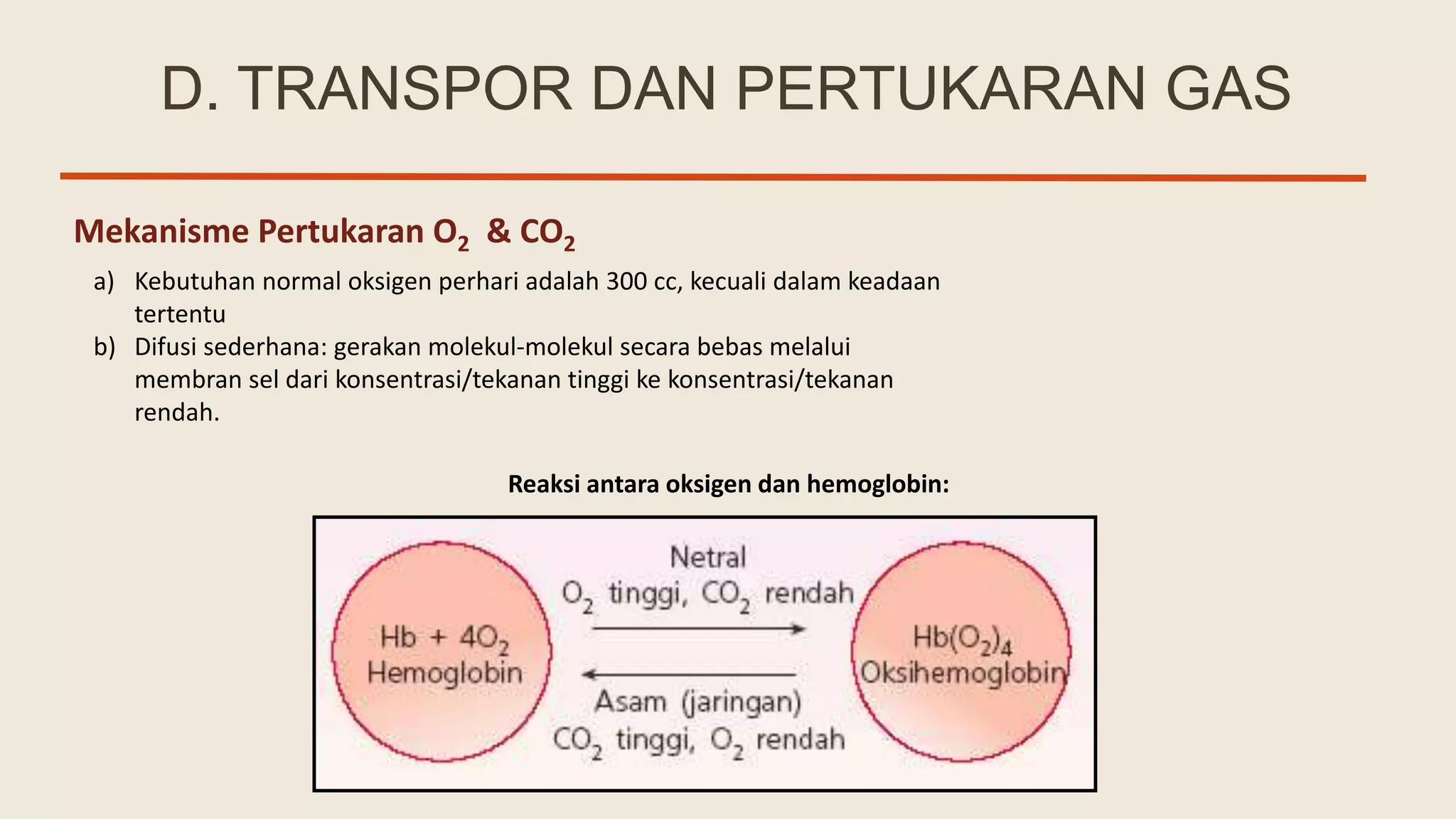 Sistem Pernafasan kelas 11 | PPTX