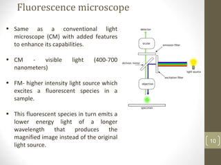 dokumen.tips_immunofluorescence-and-fluoroscence-microscopy.pdf