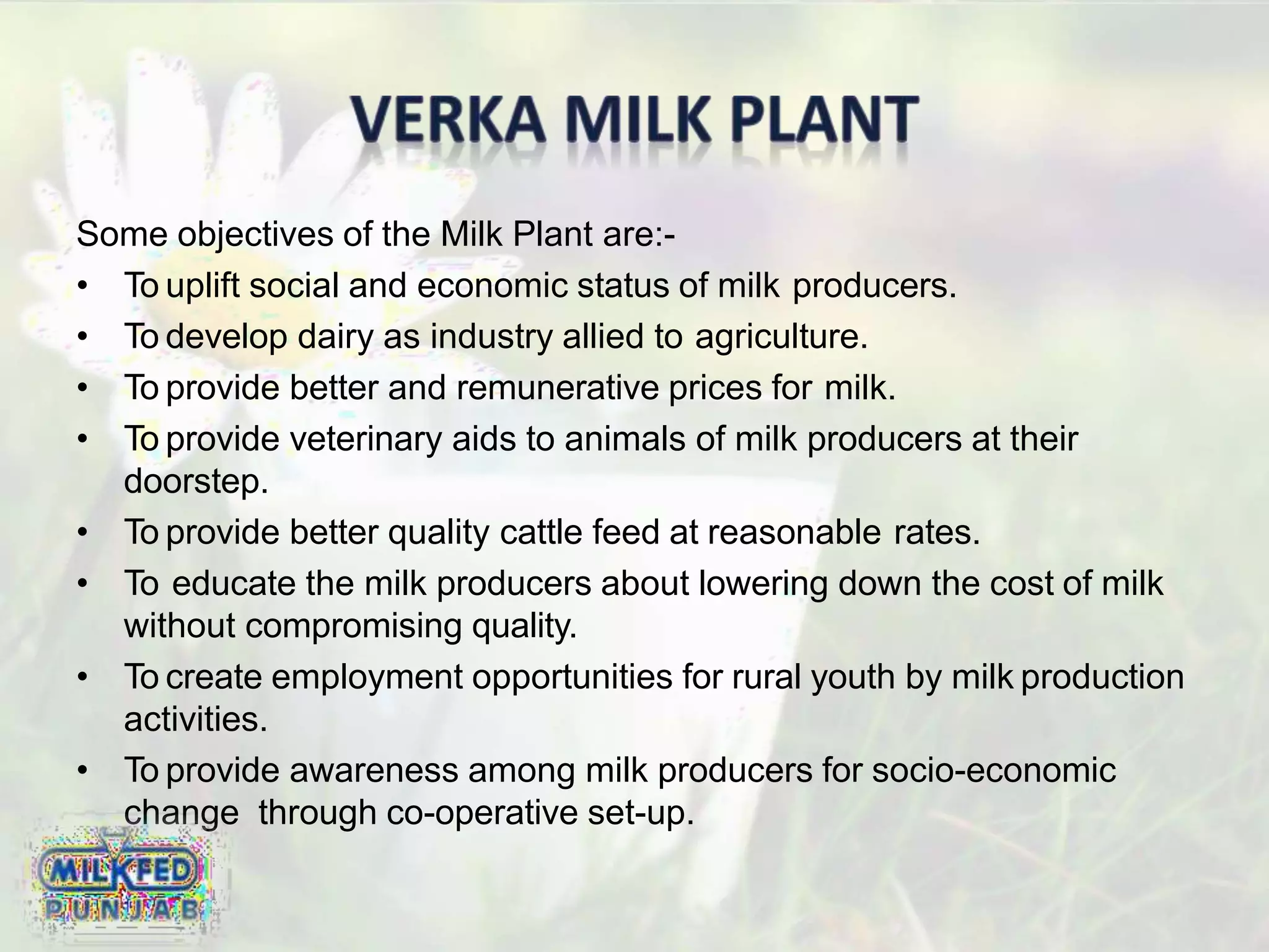 verka milk plant | PPTX