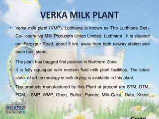 verka milk plant | PPTX