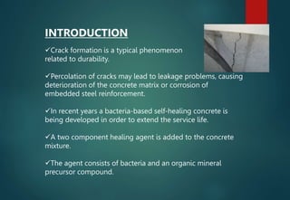 dokumen.tips_bio-concrete-ppt.pptx