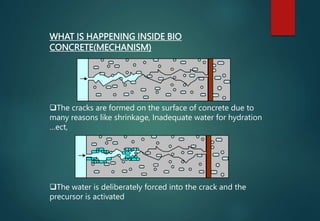 dokumen.tips_bio-concrete-ppt.pptx