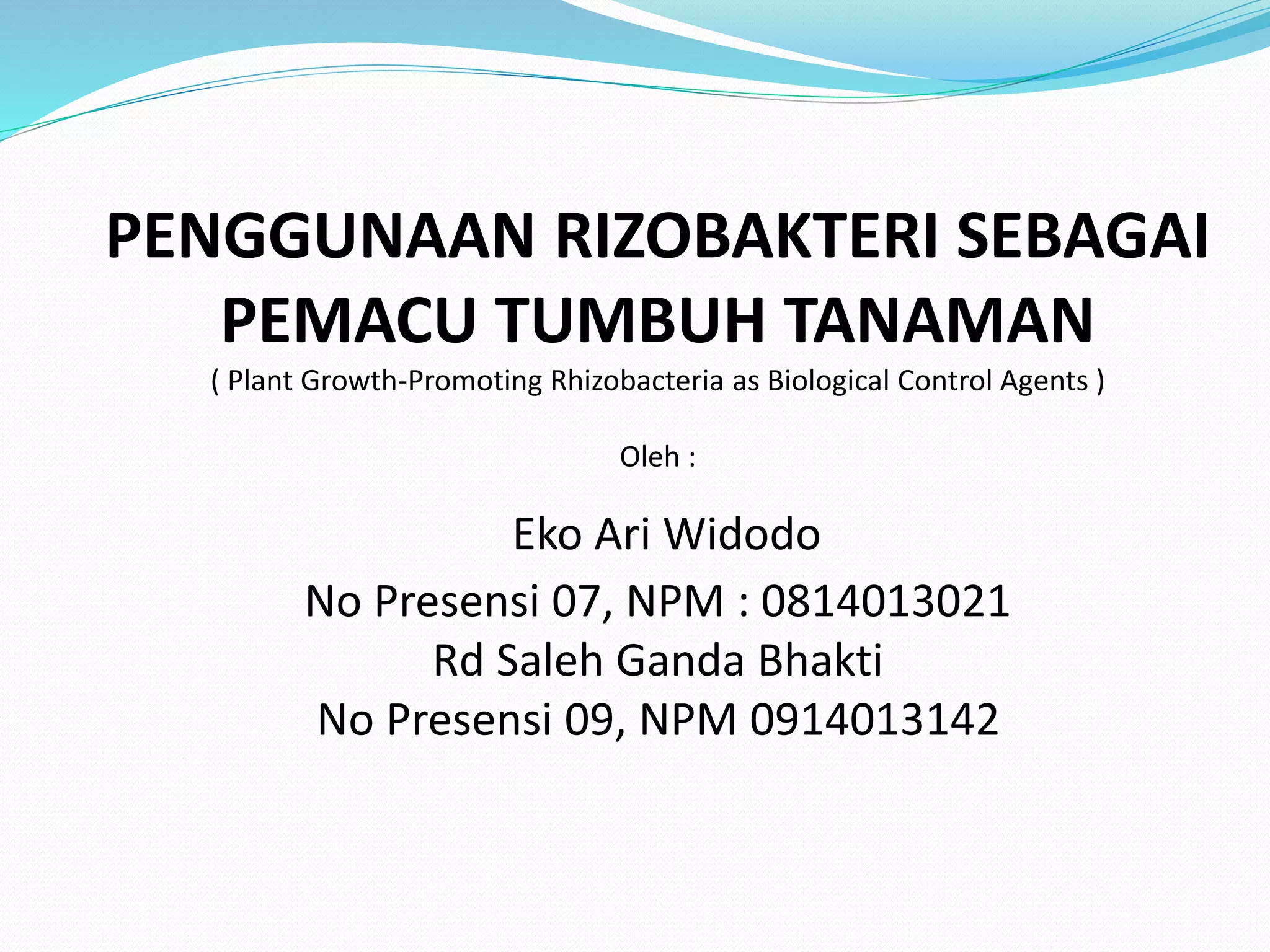 dokumen.tips_ppt-kelompok-pgprpptx.pptx