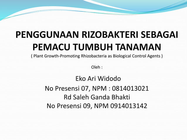 dokumen.tips_ppt-kelompok-pgprpptx.pptx