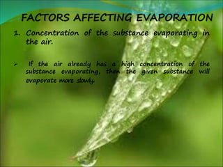 dokumen.tips_ppt-on-factors-affecting-evaporation-by-prateek.ppt