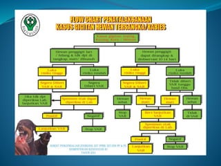 dokumen.tips_power-point-penyuluhan-rabies-1 (1).pptx