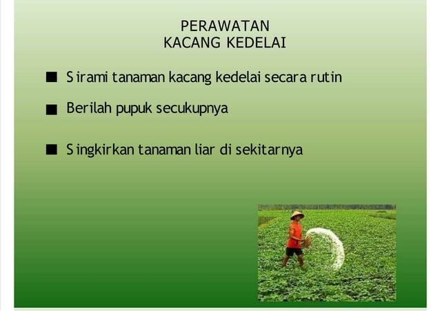 dokumen.tips_power-point-presentasi-kedelai-aca.pptx