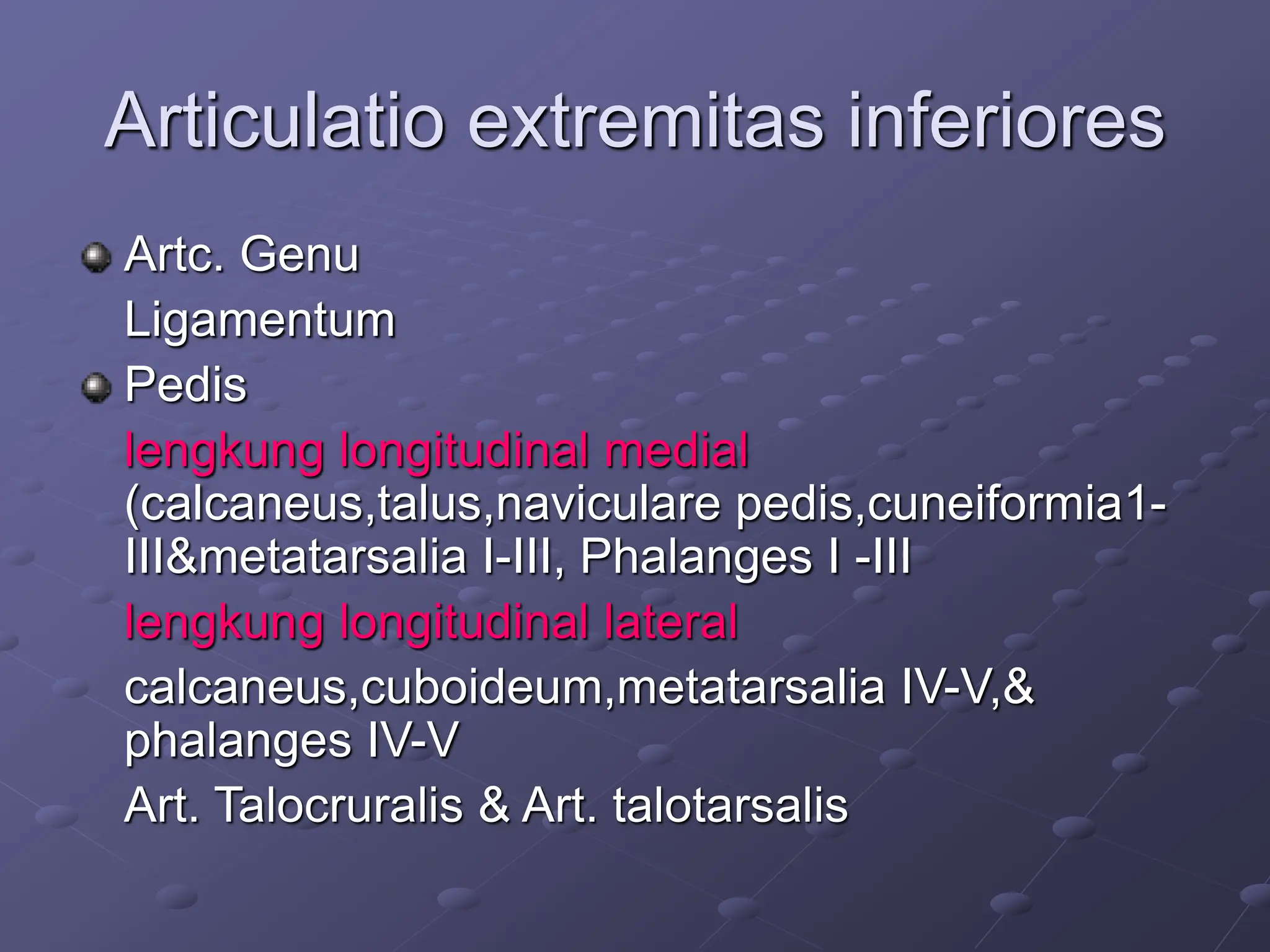 dokumen.tips_anatomi-extremitas-inferior-569e48c1235a5.ppt