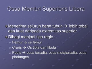 dokumen.tips_anatomi-extremitas-inferior-569e48c1235a5.ppt