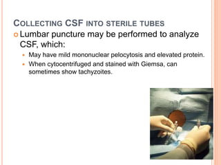 dokumen.tips_6-toxoplasmosis.pptx