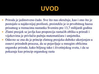 dokumen.tips_zlatni-presjek-powerpoint-prezentacija-seminarskog-rada-sinisa-stankovic ...