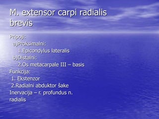 dokumen.tips_misici-gornjih-ekstremiteta.ppt