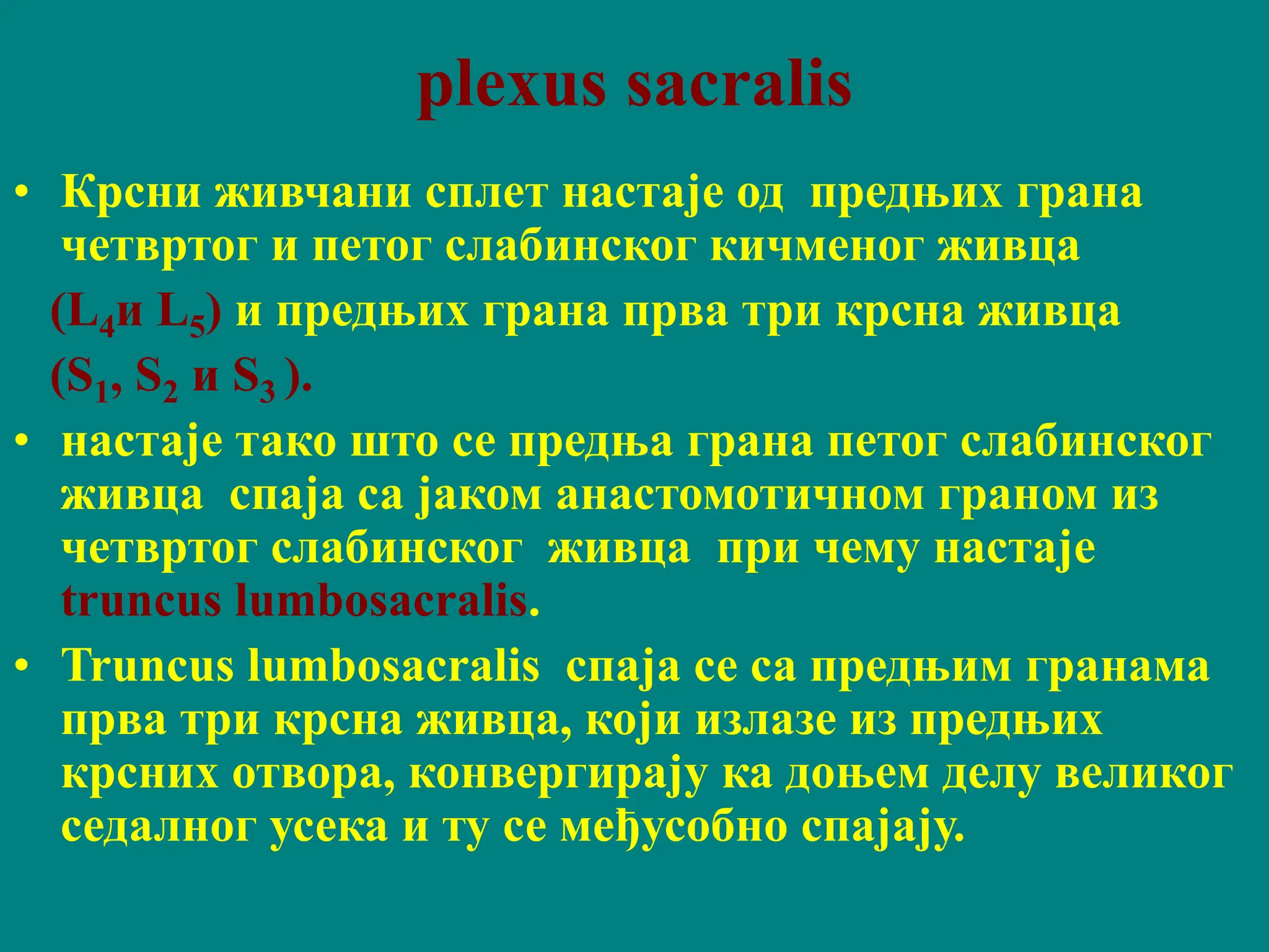 dokumen.tips_nervi-donjeg-ekstremiteta.ppt