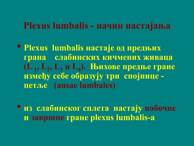 dokumen.tips_nervi-donjeg-ekstremiteta.ppt