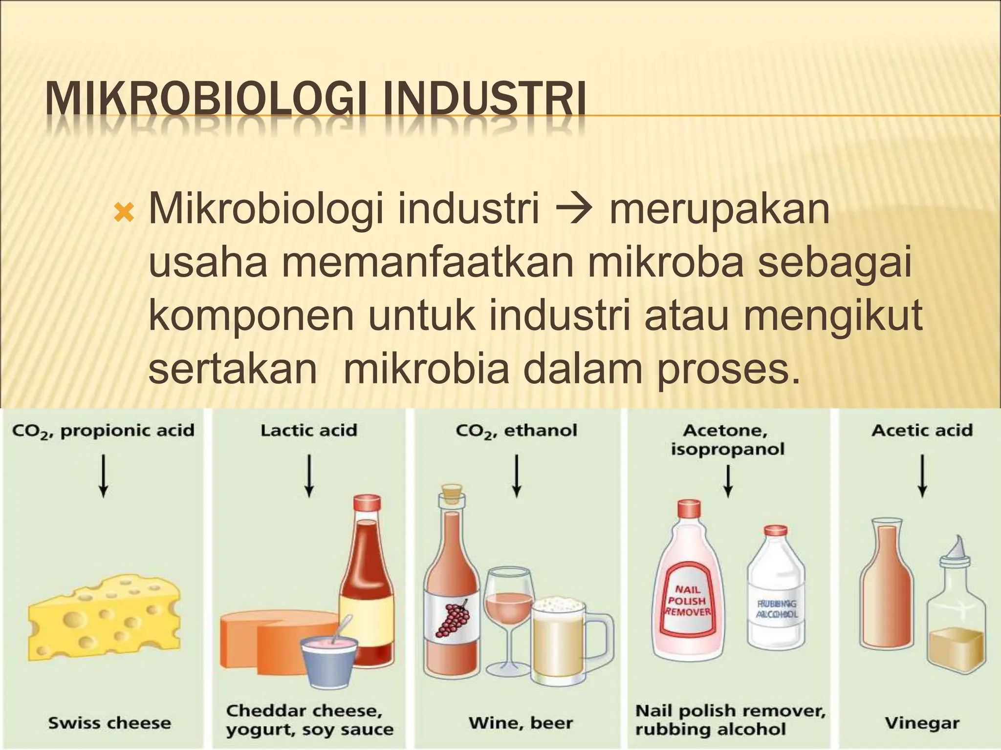 mikrobiologi-industri-558465aeb9d4a.ppt