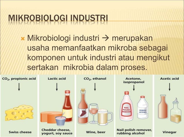 mikrobiologi-industri-558465aeb9d4a.ppt