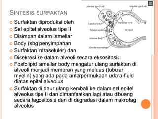 dokumen.tips_..........................surfaktan-paru.pptx