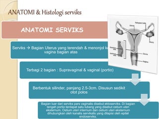 dokumen.tips_pap-smear-ppt-final.pptx_iva pap smear | PPTX