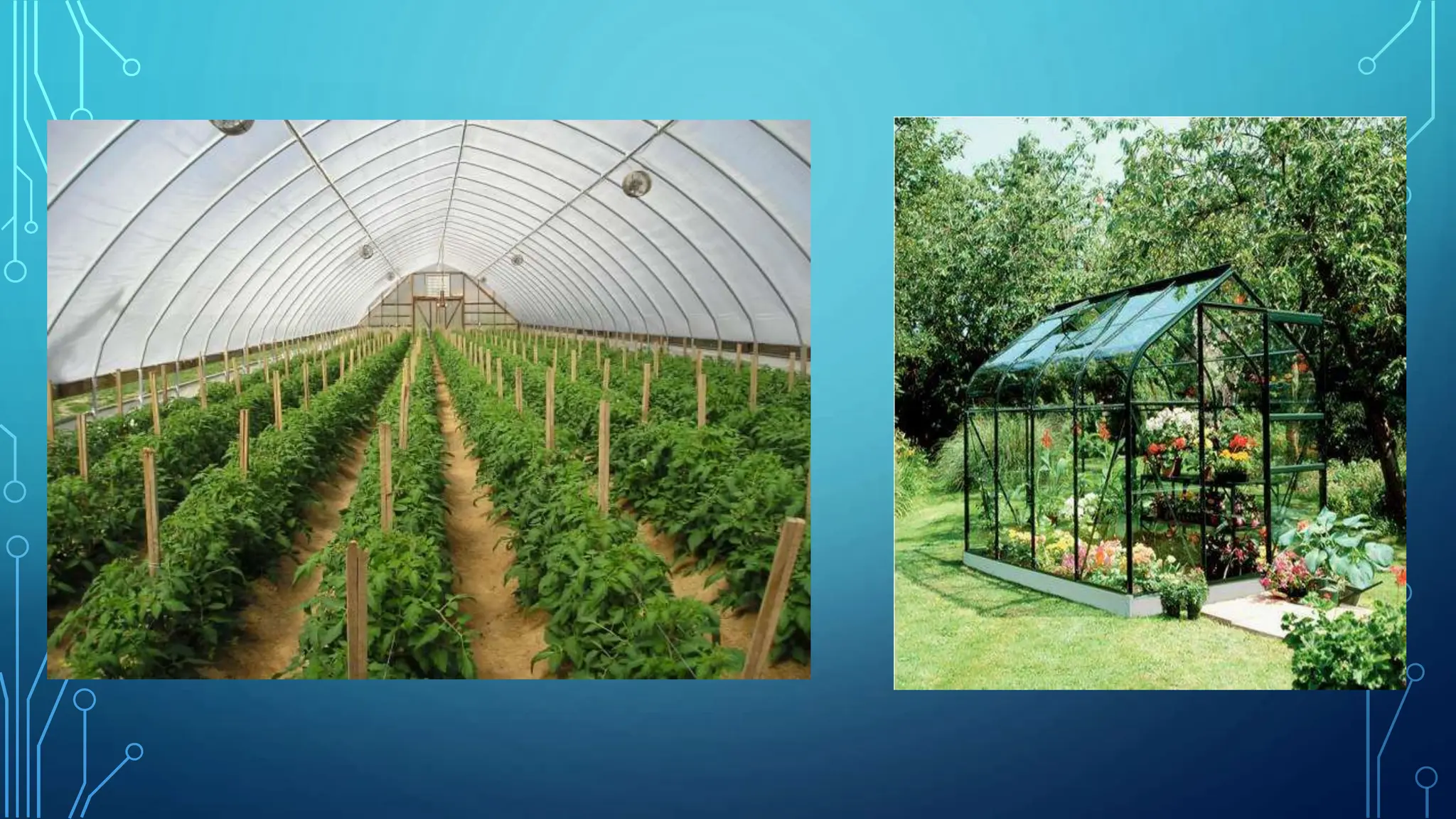 dokumen.tips_smart-greenhouse-kkppt.pptx | Gardening | Home & Garden
