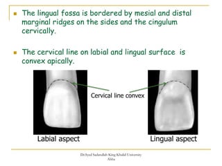 dokumen.tips_maxillary-incisorrs (2).pdf