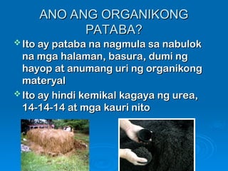 dokumen.tips_organikong-pataba-for-farmers.ppt