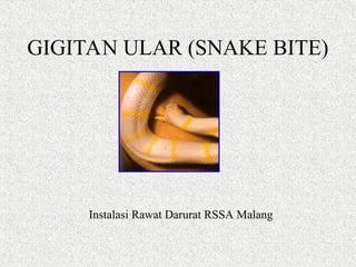 dokumen.tips_21gigitan-ular-snake-biteppt.ppt