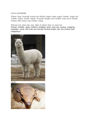 dokumen flora fauna neotropik rapel.docx
