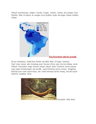 dokumen flora fauna neotropik rapel.docx