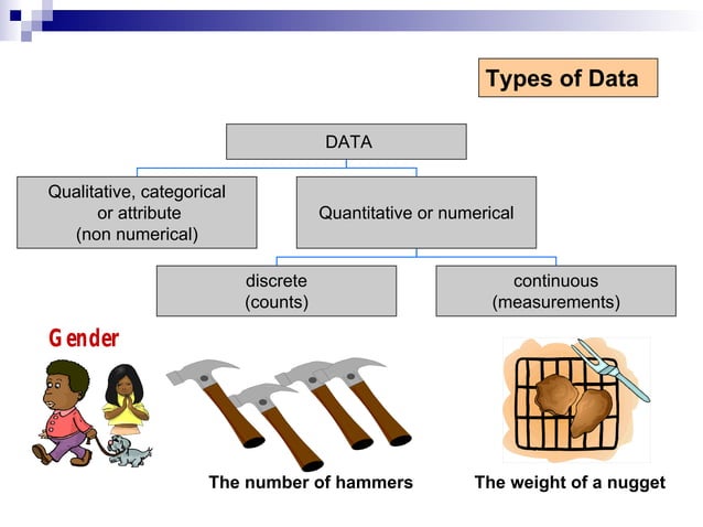 Introduce Statistics ppt | PPT