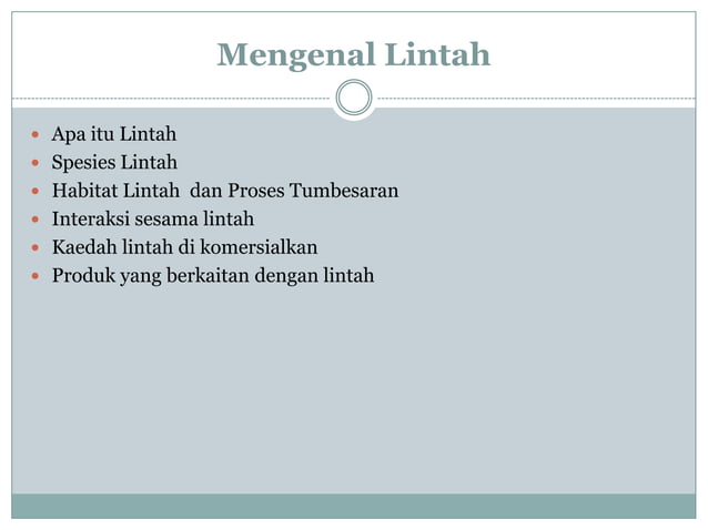 Dokumentari | PPT