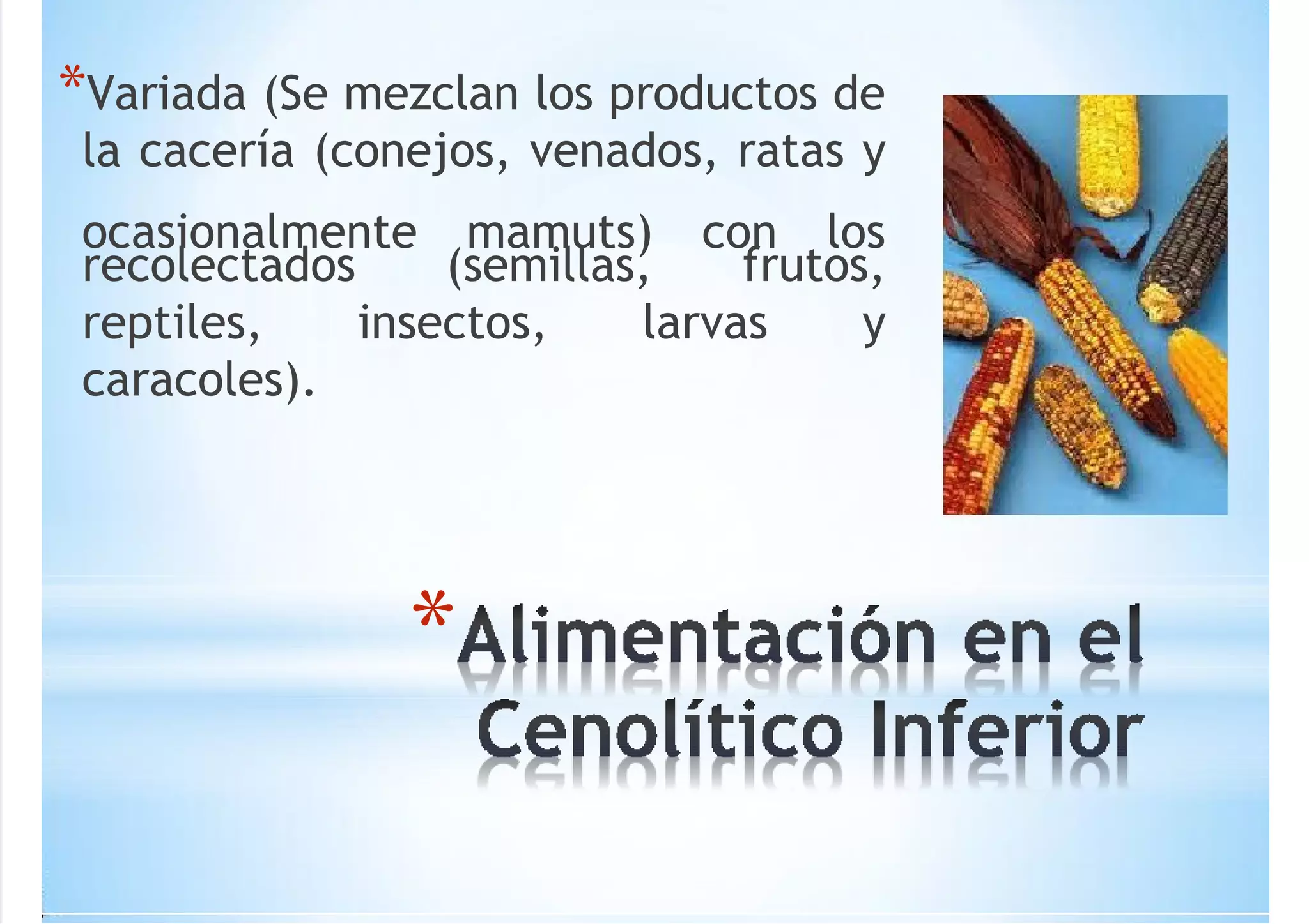 dokumentips_prehistoria-mexicana-o-etapa-litica.pdf