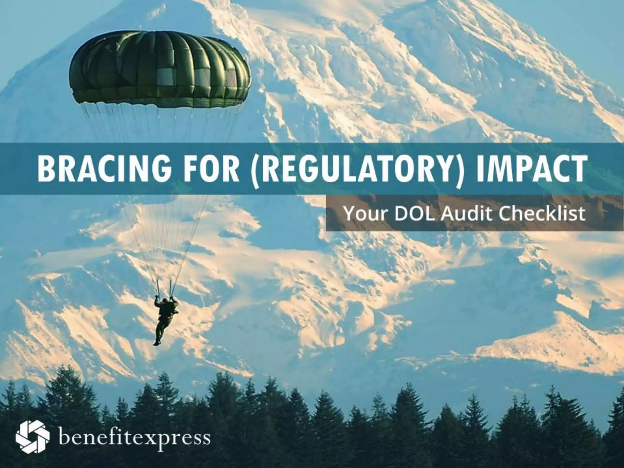 Bracing for (Regulatory) Impact: Your DOL Audit Checklist | PPT