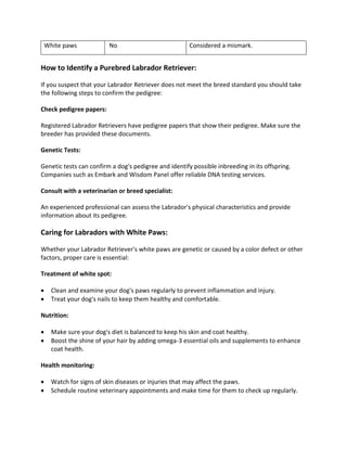 Do Labrador Retrievers have White: White Markings According to AKC Paws ...