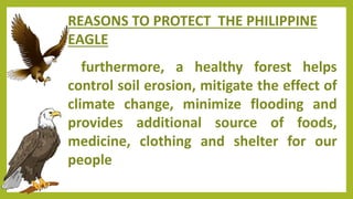 DOLATREDELSOL-Philippine-eagle-week-1.ppt