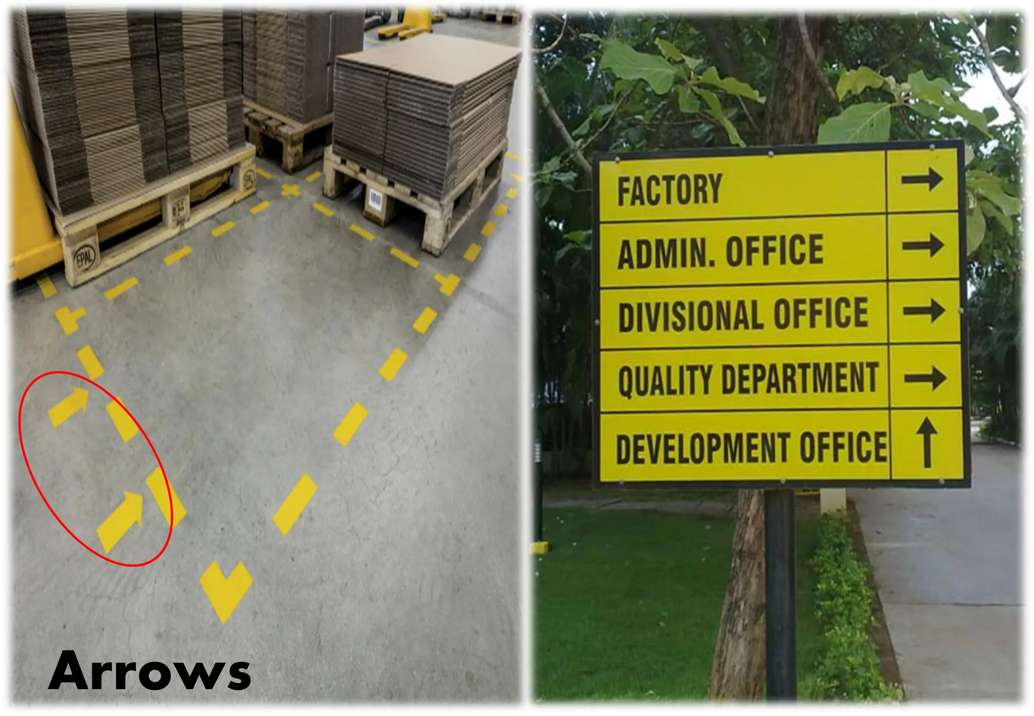 DOLE 7s of Good Housekeeping Instructional Material | PDF