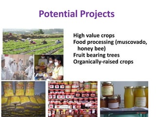 DOLE Integrated Livelihood Program | PPT