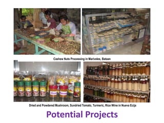 DOLE Integrated Livelihood Program | PPT