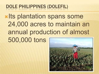 DOLE PHL | PPTX